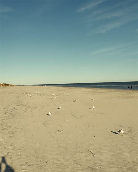 Anna Anna Tranter • Instagram Photos And Videos