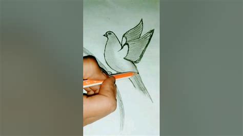 رسم حمامه بالقلم الرصاص في قمة الروعه اشتراك رسوم بنت اليمن Youtube