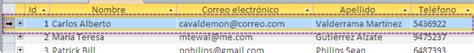 Access 2010 Guardar Y Eliminar Registros