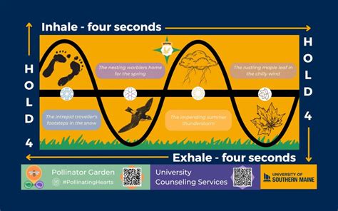 Pollinator Garden On The Portland Campus Sustainability