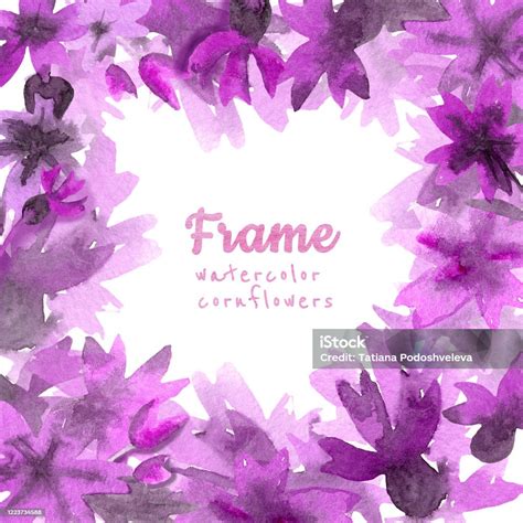 보라색 옥수수 꽃의 사각형 수채화 프레임입니다 그림은 흰색 배경에서 격리됩니다 디자인 엽서 초대장 포스터에 적합합니다 0명에 대한 스톡 벡터 아트 및 기타 이미지 Istock