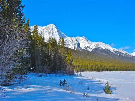 로키산맥과 모레인호수 캐나다 깔깔유머방 커뮤니티 팍스넷 증권포털