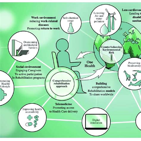 Pdf Environmental Factors In The Rehabilitation Framework Role Of