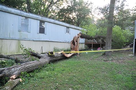 Fallen Tree Causes Injuries Hot Springs Sentinel Record