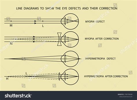 Lense Diagram Images Stock Photos Vectors Shutterstock