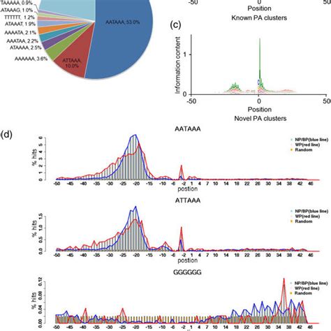 The Genomic Location Of Pa Clusters Identified By Pa Seq A The