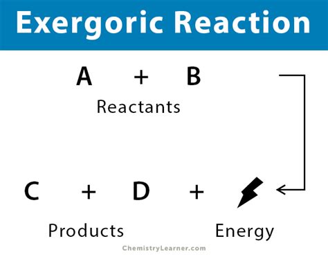 Exergonic Reaction Definition Equation Graph And Examples