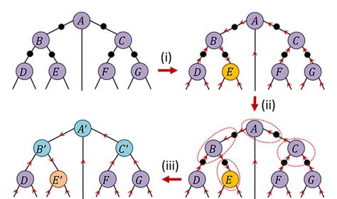 Tutorial 4 Canonical Forms