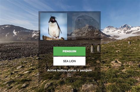 Using A Variable To Set Text Button Styles — Tony Redhead