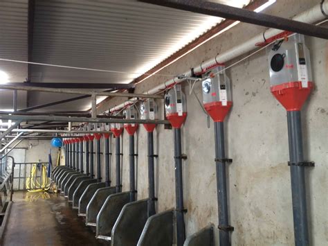 Buy Batch Feeding System Online Farm And Dairy Spares