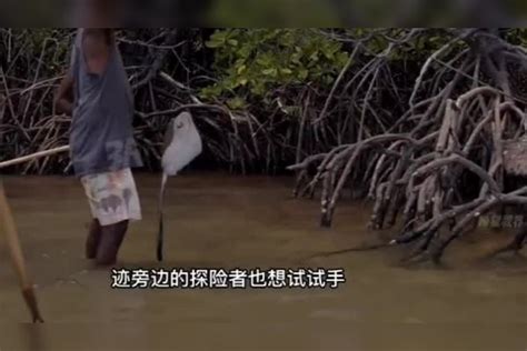 手叉鱼你见过吗？独门绝技带你捕鱼，让人不禁感慨绝技