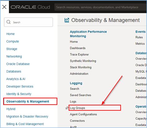 Export Oracle Database Audit Logs From Oracle Data Safe To Oci Logging