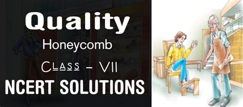 Quality Class 7 Ncert Solutions Edunation19