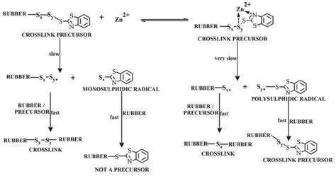 Chemistry Of Vulcanization