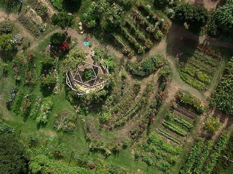 Edible Garden School Yard School Garden Alice Waters