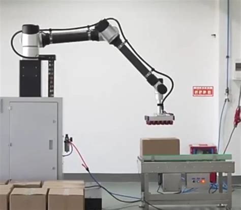 Palletizer Robotic Column Collaborative Robot Cobot Palletizer Palletizer Robotic Column And