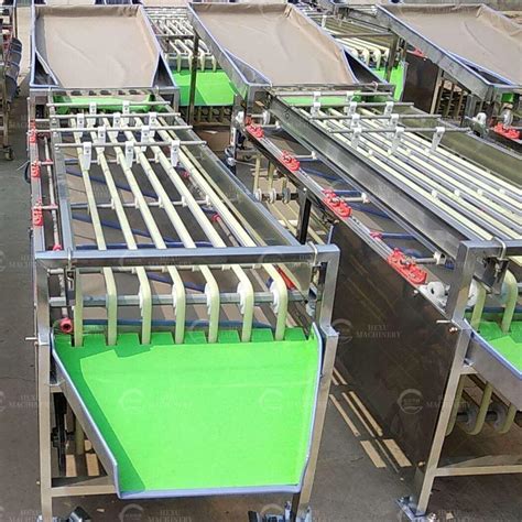 Fruit And Vegetable Sorting And Grading Machine Size Sorting Machine