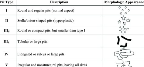 Modified Kudo Criteria For Pit Pattern Classification 13 Download Table