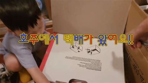 일란성쌍둥이 임산부 정밀초음파 임당검사 호주에서 온 택배 언박싱 일상 Vlog Youtube