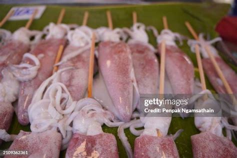 Edible Cuttlefish Photos And Premium High Res Pictures Getty Images