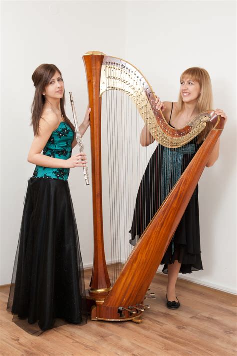 Hire Pop Classical Duos Singer Violin Cello Duos Flute Harp And