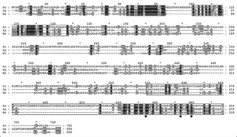 sequence alignment of glucosidase ii subunit homologues the primary