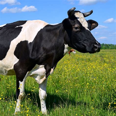 存真生物科技 Purecare