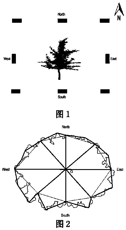 Method For Estimating Biomass Of Canopy Components Of Fruit Trees