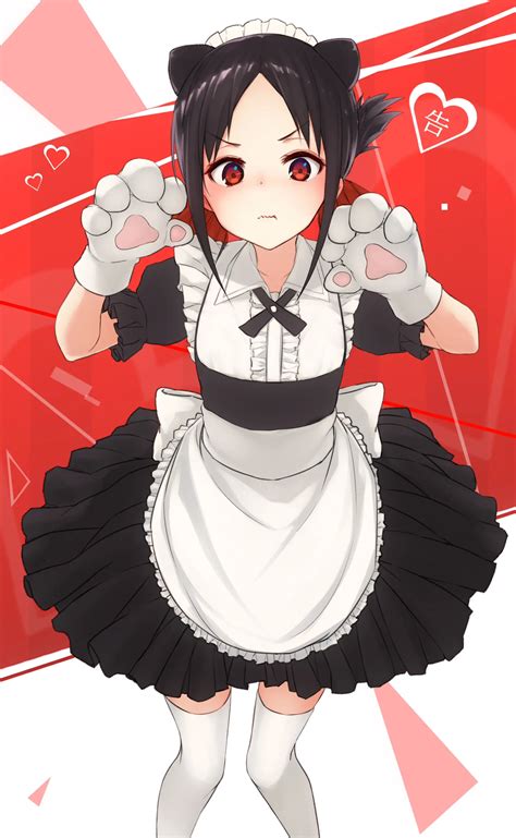 Discover More Like Animemaids Neko Maid Kaguya Kaguya Sama Love Is