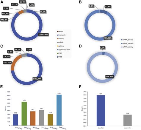 The Detection Results Of Snvs And Indels A Annotation Result Of Snvs Download Scientific