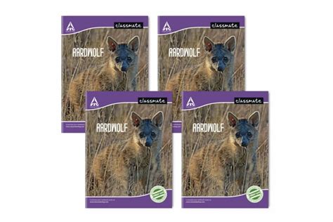 A4 Classmate 200 Pages Notebook At ₹ 48 Piece Classmate Notebook In