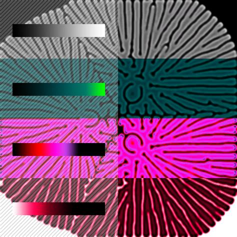 Reaction Diffusion On Shader Ciphrd