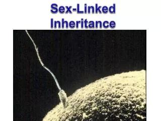 PPT Sex Linked Inheritance PowerPoint Presentation Free Download ID