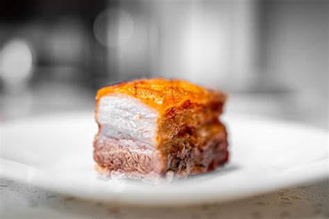 바삭바삭한 피부를 가진 구운 튀긴 돼지 삼겹살 지방 베이컨 고기 식탁에서 흰색 접시에 대해 격리된 영양가 있는 음식 절단 신선한 바베큐 요리의 매크로 근접 촬영 측면 보기