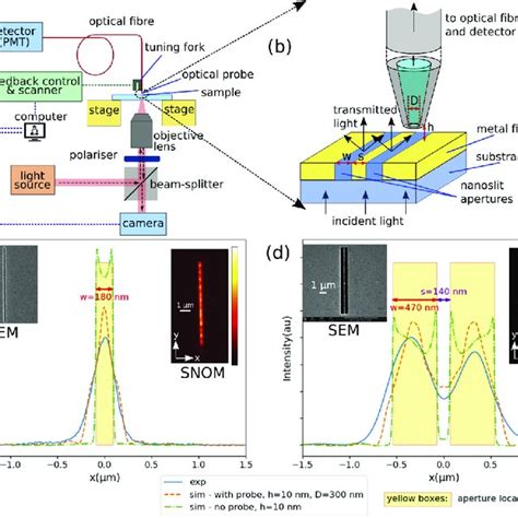 Pdf Investigating The Probe Tip Influence On Imaging Using Scanning Near Field Optical Microscopy