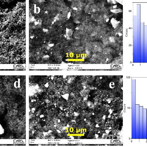 Sem Images At 5 000x Magnification Of A Sp Pvdf B Nasgii Sp Pvdf D Download Scientific