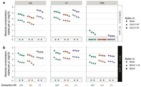 Efficacy Of Preservation And Rna Extraction Of Sars Cov 2 And Bcov Rna
