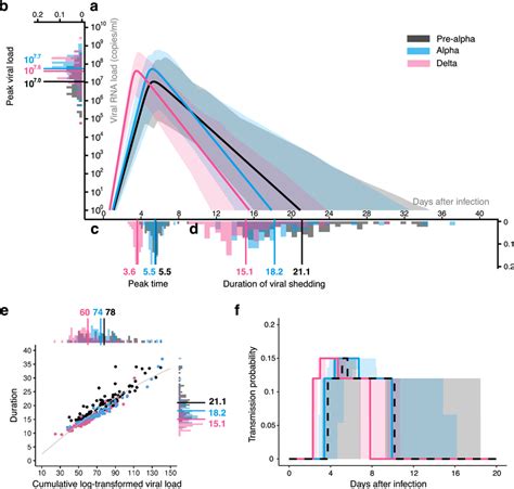 Quantification Of Evolving Sars Cov 2 Infection Dynamics Viral Load