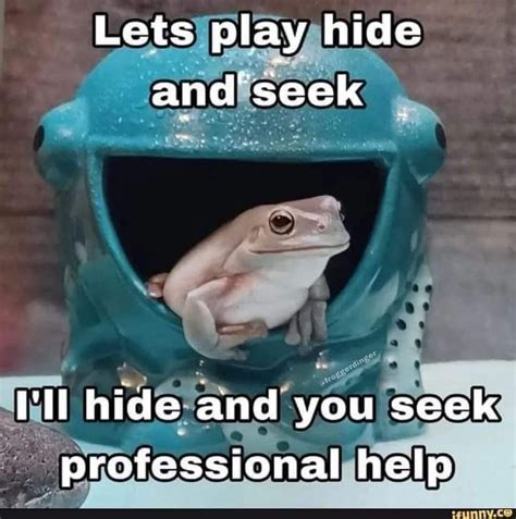 Funny Frog Meme Lets Play Hide And Seek