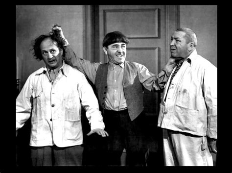 Three Stooges Curly And Moe