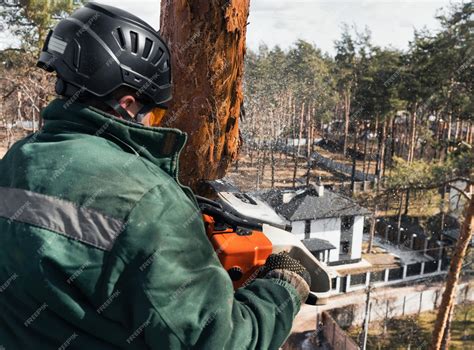 Premium Photo Arborist Cuts The Trunk Of An Emergency Tree With
