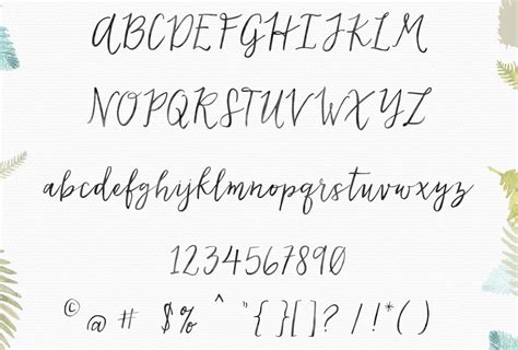 Lovefern Font Swashes ~ Script Fonts On Creative Market