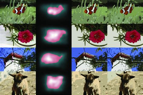 in rows from left to right original image saliency map in red values