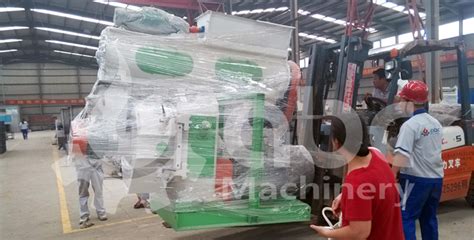 Cattle Feed Production Process Key Stages And Techniques