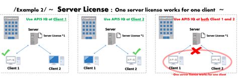 Network License Server License Nlx For The Better Use Of Apis Iq Nss Blog