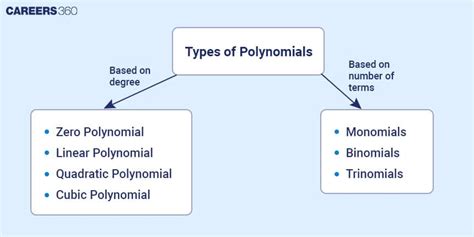 Types Of Polynomials Overview Structure Properties And Uses