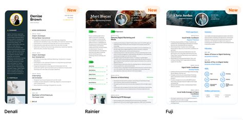 Introducing 6 Brand New Visualcv Resume And Cv Templates