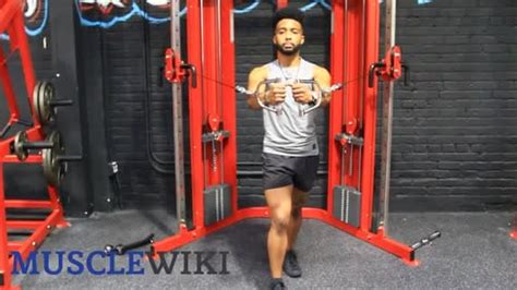 Advanced Bodybuilder Split Routine 例程 训练计划 Musclewiki