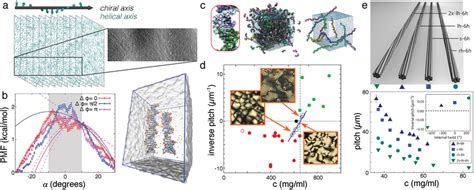 Topological Dna Nanostructures A Schematic Representation Of A