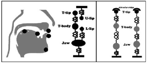 Figure 2 From Optimization Based Modeling Of Suprasegmental Speech